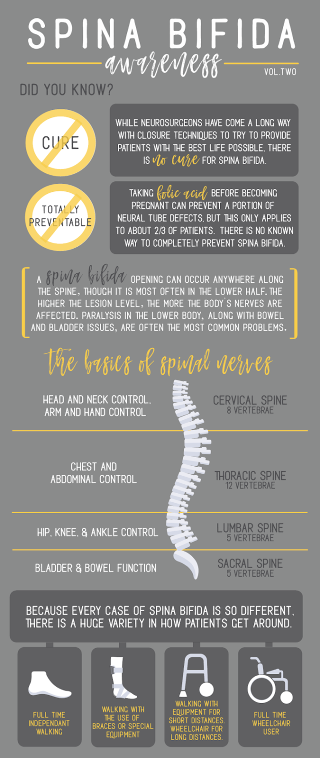 Spina Bifida at a glance - Sunflowers and Thorns